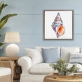 Stupell Industries Sunrise Conch Shell Brown Framed Floater Canvas Wall ...