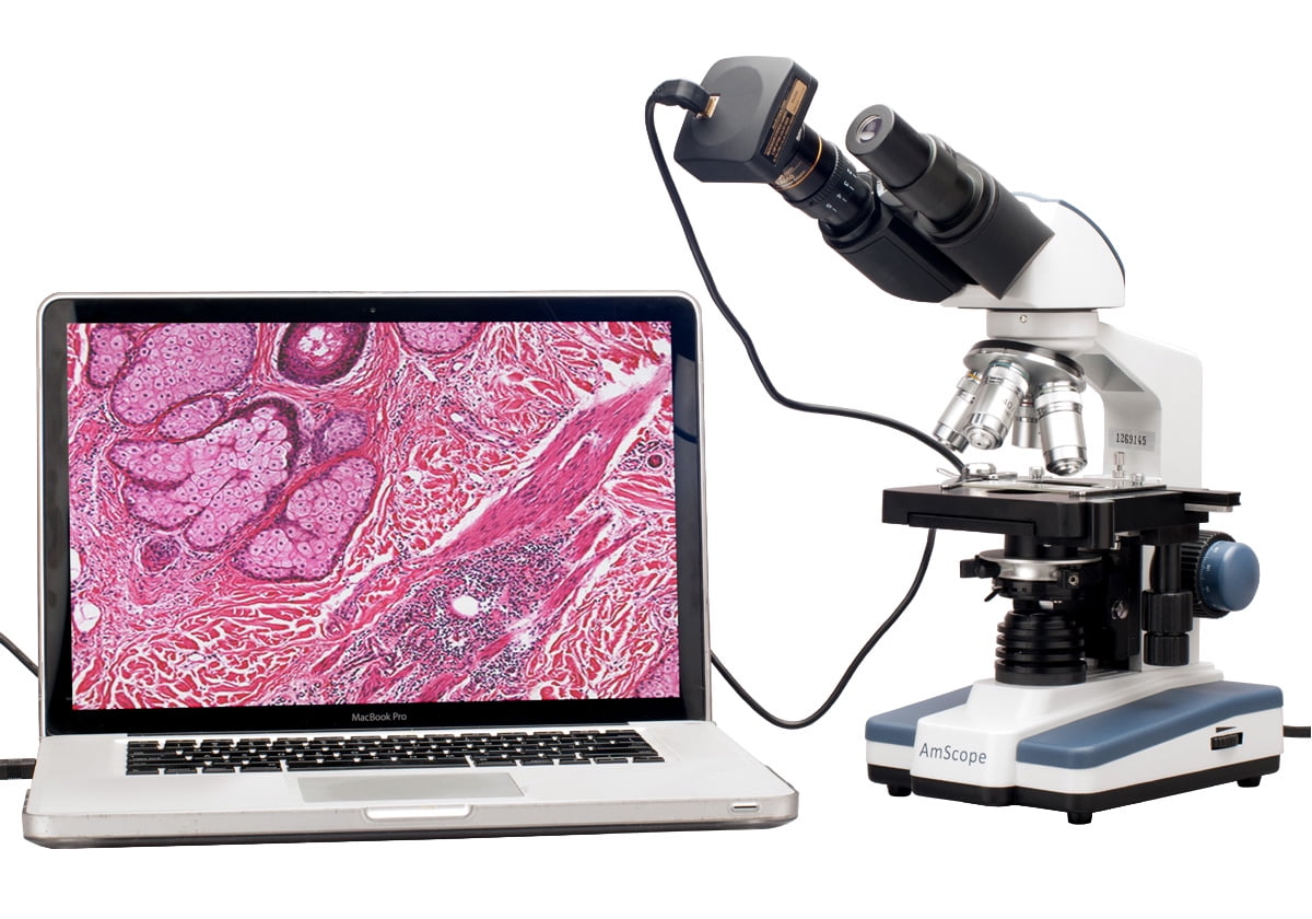 AmScope 40X-2000X LED Lab Binocular Compound Microscope w 3D Stage + 1 ...