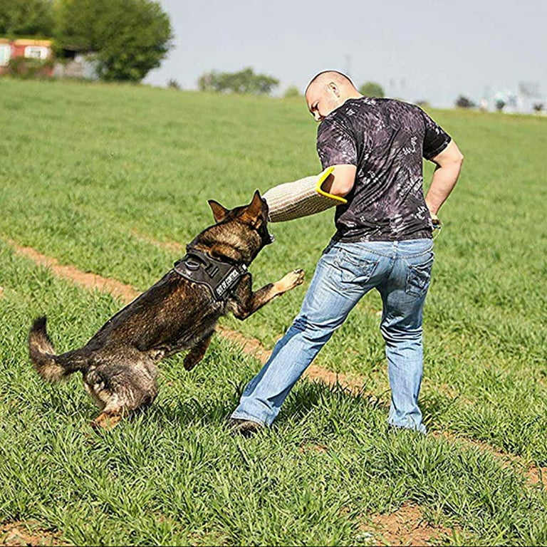 German Shepherd Bite Training