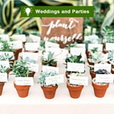 3 Inch Terra Cotta Pots with Drainage - 20 Pack Clay Flower Pots ...