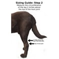 Labra Extra Supportive Dog Canine Rear Leg Hock Joint Wrap Protects ...