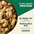 PLANTERS Nut Duos Peppercorn Pistachio and Parmesan Flavored Cashew 5 ...