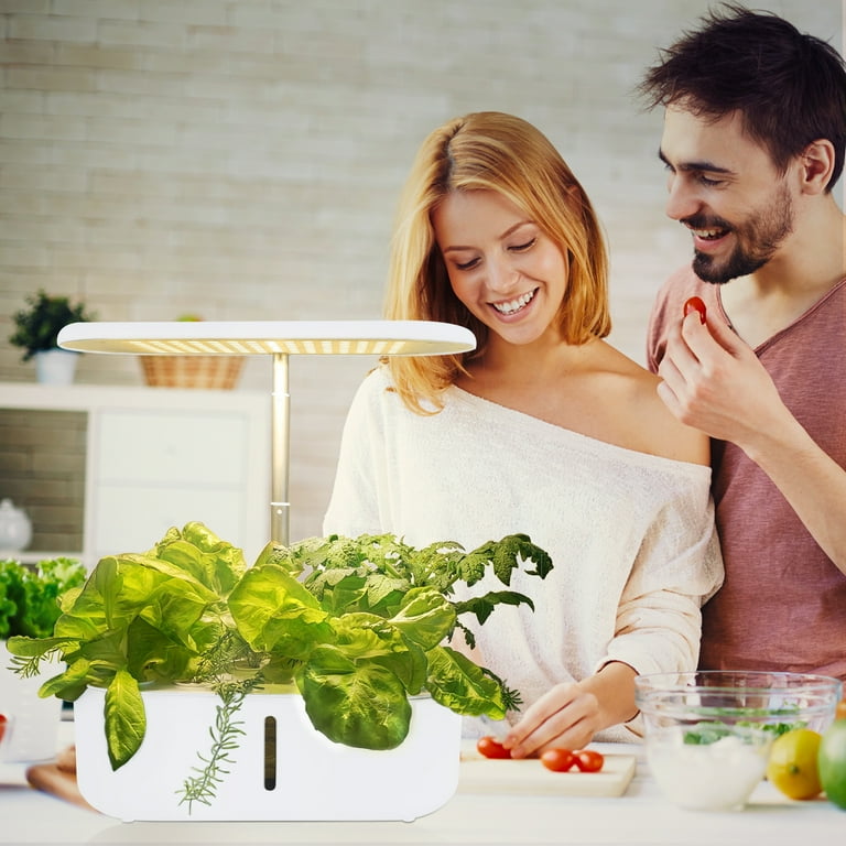 Indoor Herb Garden Kit With Light Indoor Hydroponic Growing System