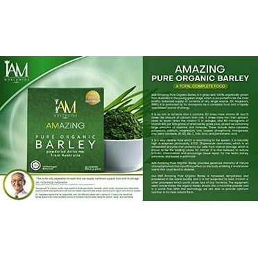 Big Train Chamba Chai Spiced Ginger Chai Latte Drink Mix, 64 Ounces ...