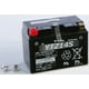 Yuasa YTZ14S High Performance Factory Activated Maintenance Free ...