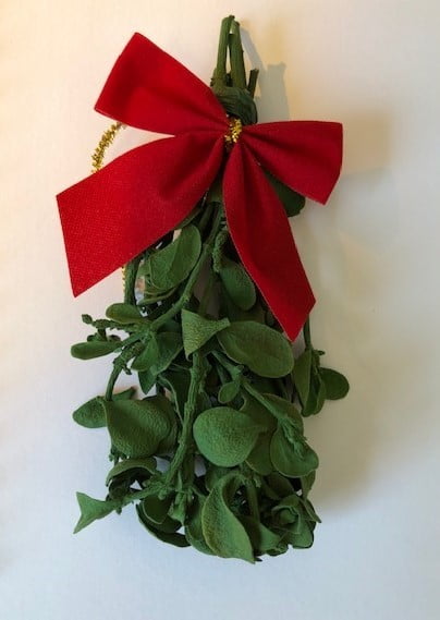 Real Mistletoe
