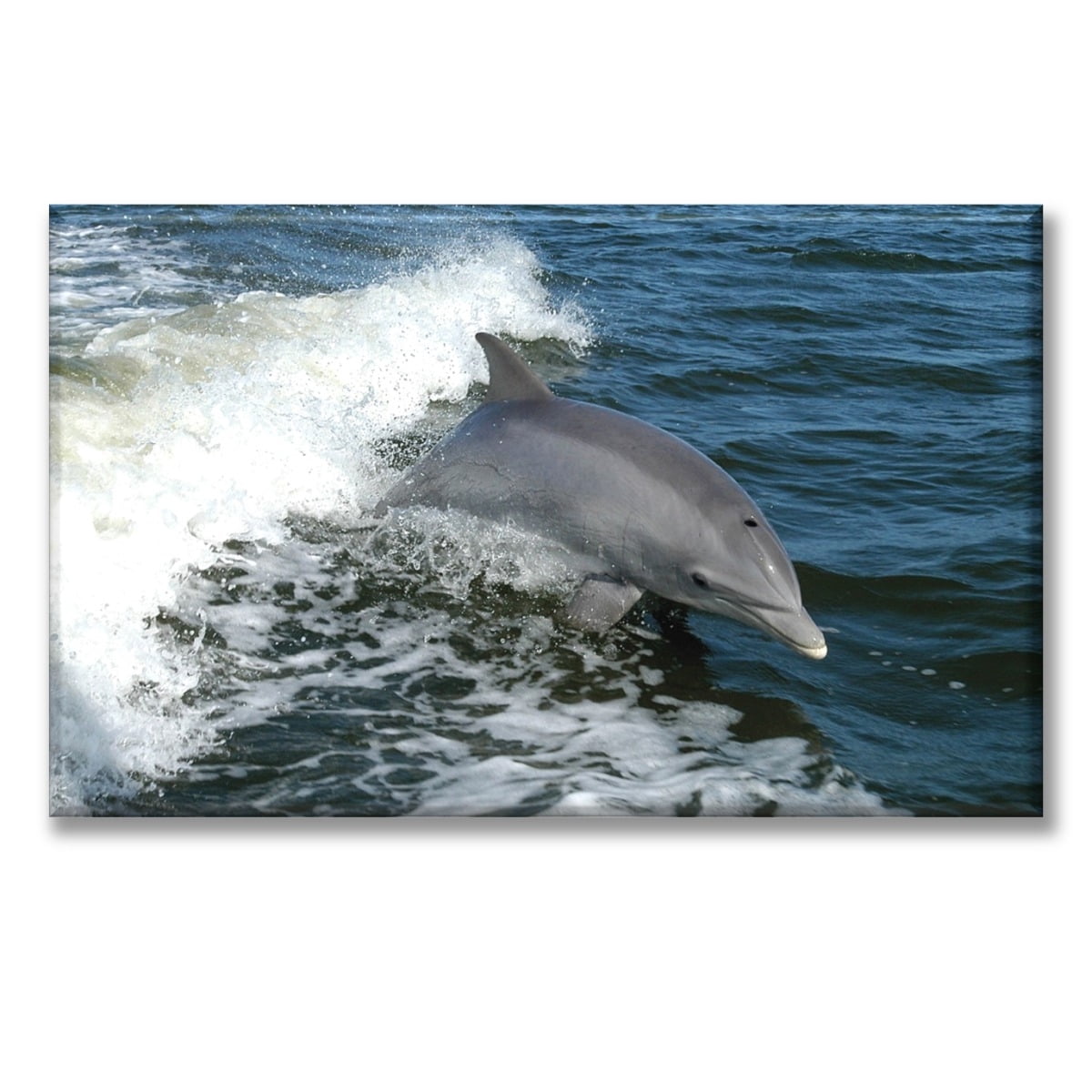 Cuadro Canva Listo Para Colgar Tipo Galería Delfin 40X60 cm | Walmart ...