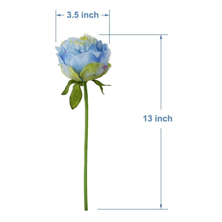Peony Blue Color Clothing