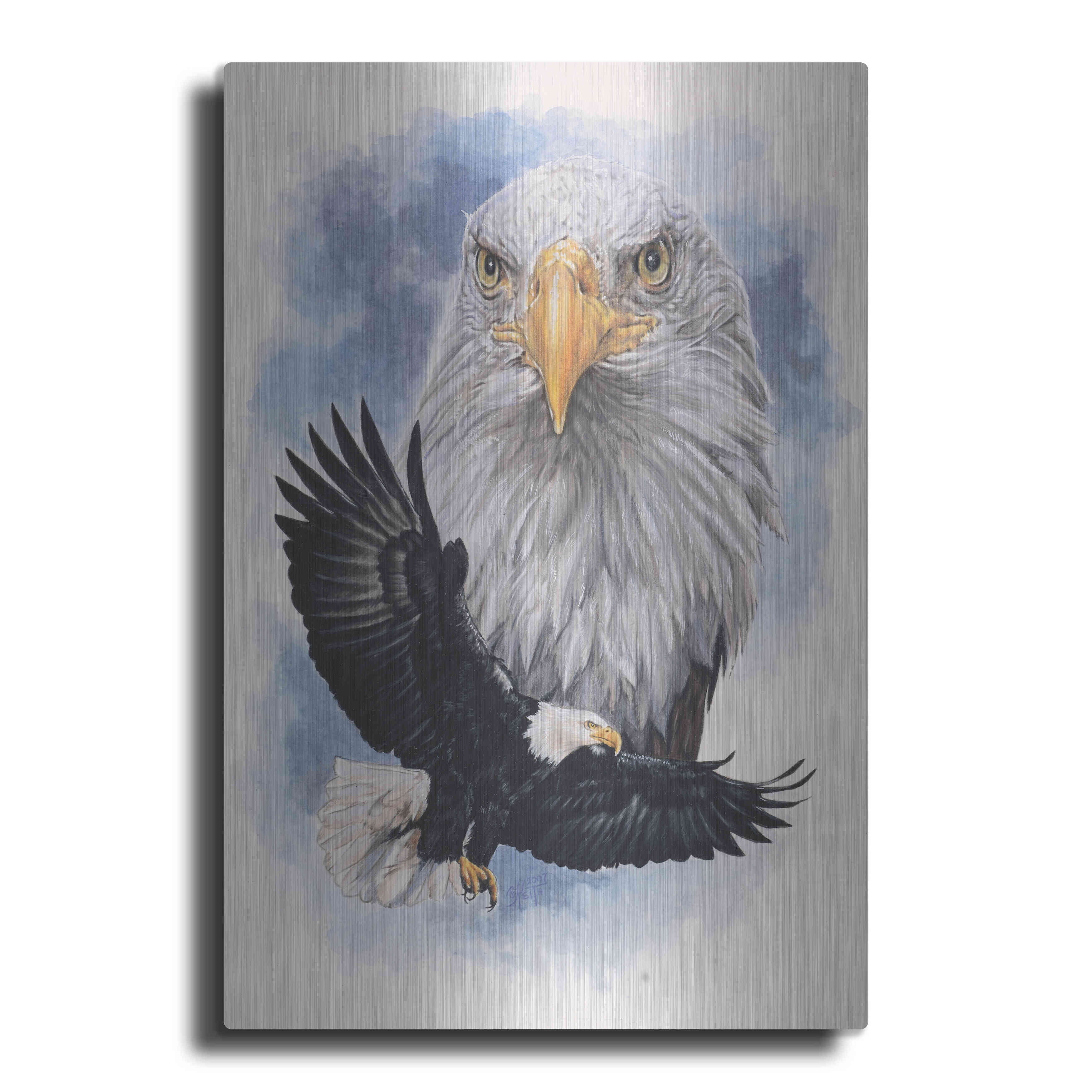 Luxe Metal Art 'Peerless' by Barbara Keith, Metal Wall Art, 24"x36 ...