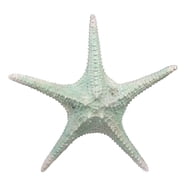 Cortland Silver Starfish - Set of 4 - Walmart.com