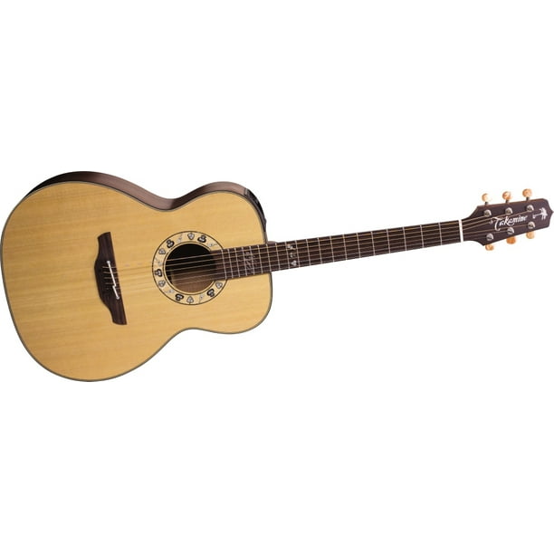 Takamine 6 Strings