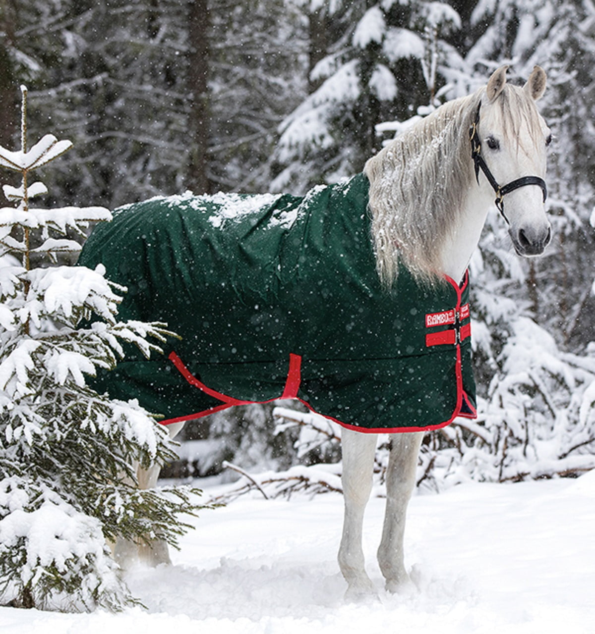 Rambo® Original (400g Heavy) (Green/Red, 87") - Walmart.com