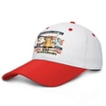 250 Years of Freedom 1776-2026 America Patriotic Snapback Hat ...
