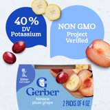 Gerber Stage 2 Baby Food, Banana Plum Grape Puree Tubs, Baby Puree, 2PK ...