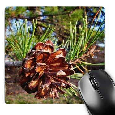 3dRose, Photo Bug, Mouse Pad - Walmart.com