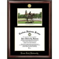 Baylor University 11 x 14 Gold Embossed Diploma Frame - Walmart.com
