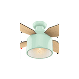 Free Shipping! Hunter Cranbrook 52" Low Profile Home Ceiling Fan with ...