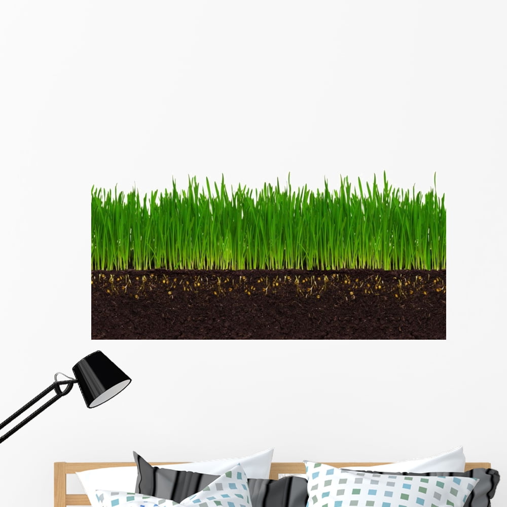 Wheat Grass Wall Decal by Wallmonkeys Peel and Stick Graphic (48 in W x ...