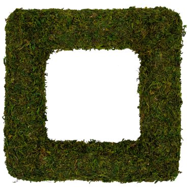 Northlight Green Moss and Twig Artificial Spring Wreath, 12-Inch ...
