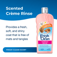Fresh 'n Clean® Classic Fresh Scented Creme Rinse, 18 oz - Walmart.com