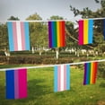 Anley Rainbow String LGBT Flags 32pcs - 4 Mixed Flag Banners with Pansexuality, Bisexuality ...