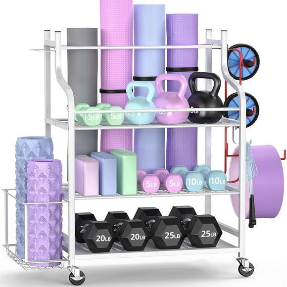 Home Gym Storage