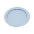Inner lip plate, plastic, blue , 9" - Walmart.com