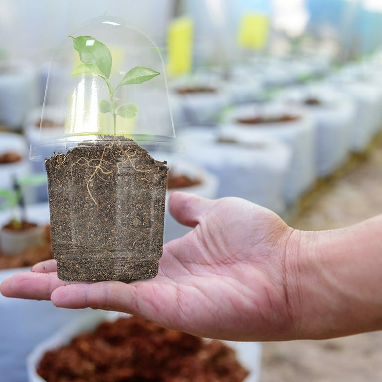 Seed Growing Containers Clear