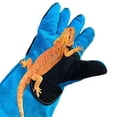 Animal Handing Gloves Bite Proof 23.7 Inch Kevlar Reinforced ...
