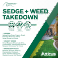 Atticus Sertay Herbicide 1.25 oz Sulfosulfuron Post Emergent Weed ...