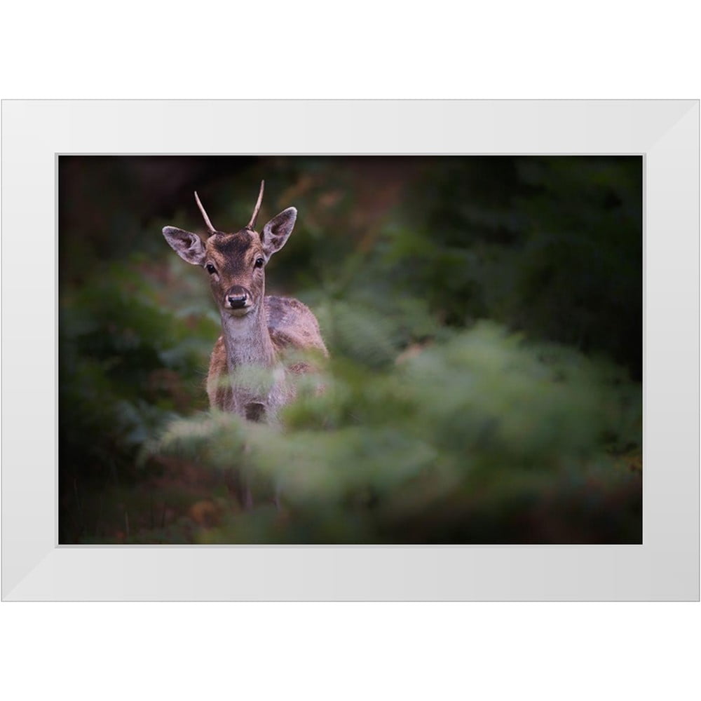 Deakin, Karen 32x23 White Modern Wood Framed Museum Art Print Titled ...