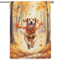 Welcome Fall Chesapeake Bay Retriever Strolling Through the Autumn ...