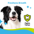 Dental Chews for Dogs - Mint Dental Sticks for Plaque Tartar & Breath ...