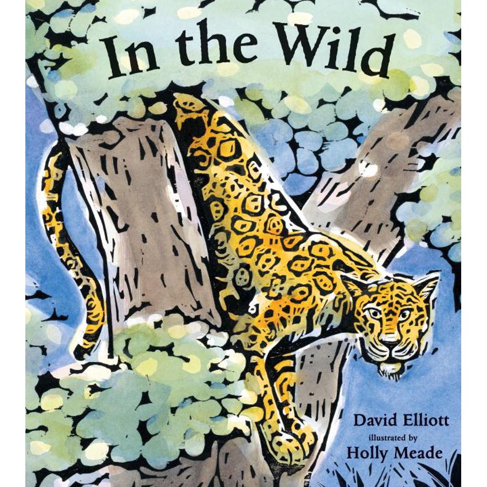 In the Wild (Paperback) - Walmart.com - Walmart.com