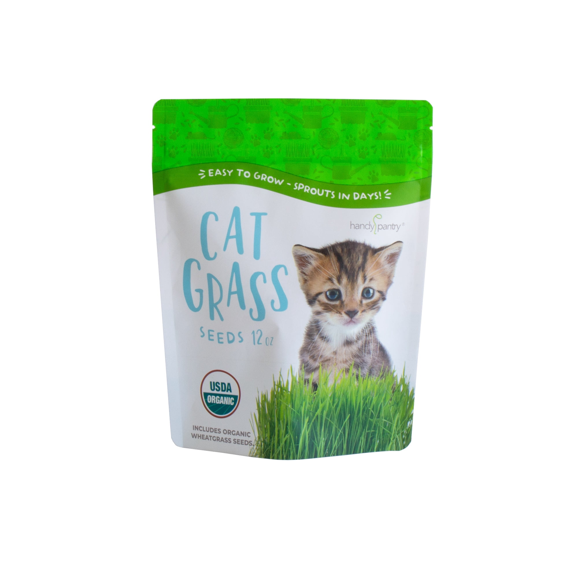 Certified Organic Cat Grass Seeds - 16 Oz - Non-GMO Wheatgrass Seeds ...