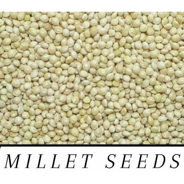 RED & WHITE Millet Seed Wild Bird Food Raw & Recleaned! - Walmart.com