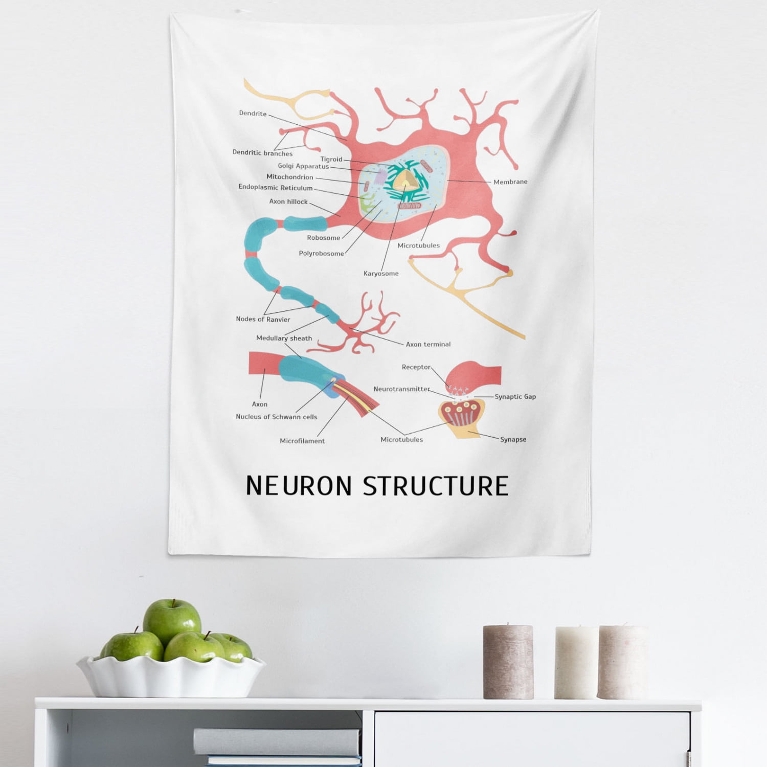 Anatomy Tapestry, Science Neuron Structure Functions on Plain ...