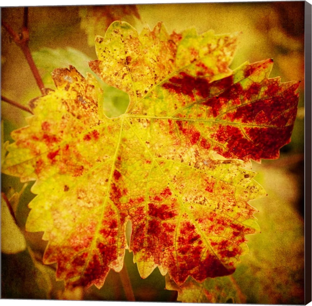 Golden Foliage by Jessica Rogers Photography, Canvas Wall Art - Walmart.com