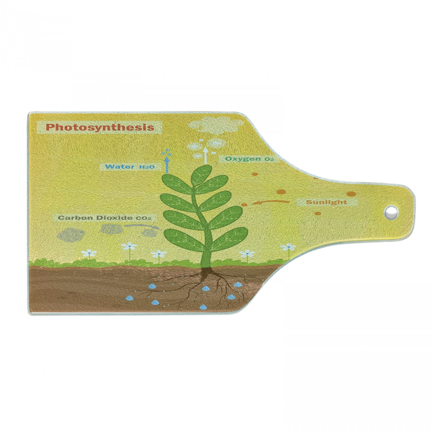 Science Cutting Board, Cartoon Photosynthesis Oxygen Carbon Dioxide ...