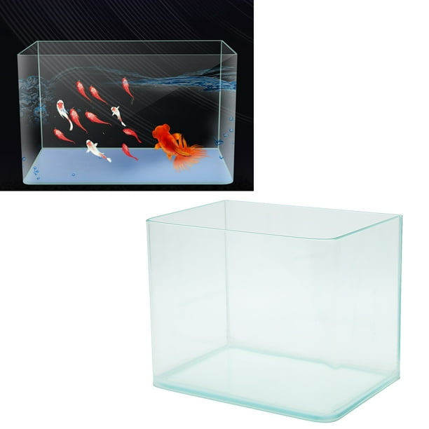 Small Betta Fish , Transparent Frameless Plastic Aquarium Ultra Clear ...