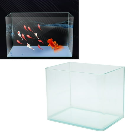 Small Betta Fish , Transparent Frameless Plastic Aquarium Ultra Clear ...