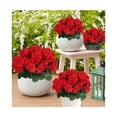 Faux Geraniums for Outdoor Planters, 10PCS UV Resistant Red Artificial ...