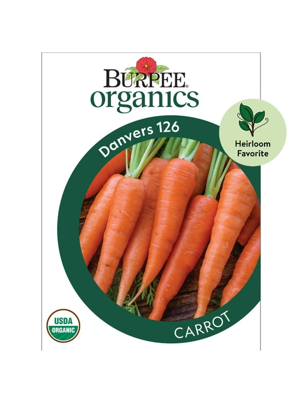 Carrot Seeds in Seed Gardening - Walmart.com