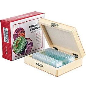 AmScope Microscope Slide Preparation Kit Including Slides, Stains New ...