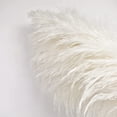 10 Stems 46" inch White Pampas Grass Decor Tall, Large Pompas Grass ...