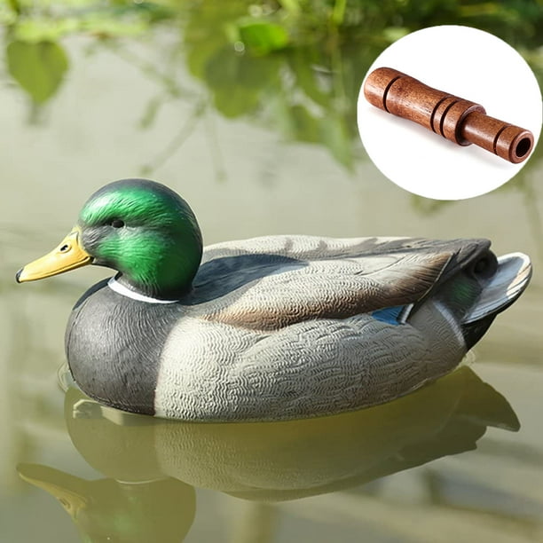 Identifying Bird Calls