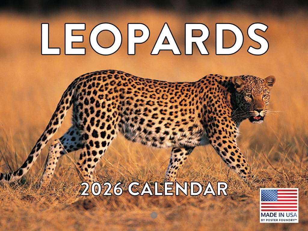 Biwat Leopard Calendar 2026 Monthly Wall Calender 12 Month | American ...