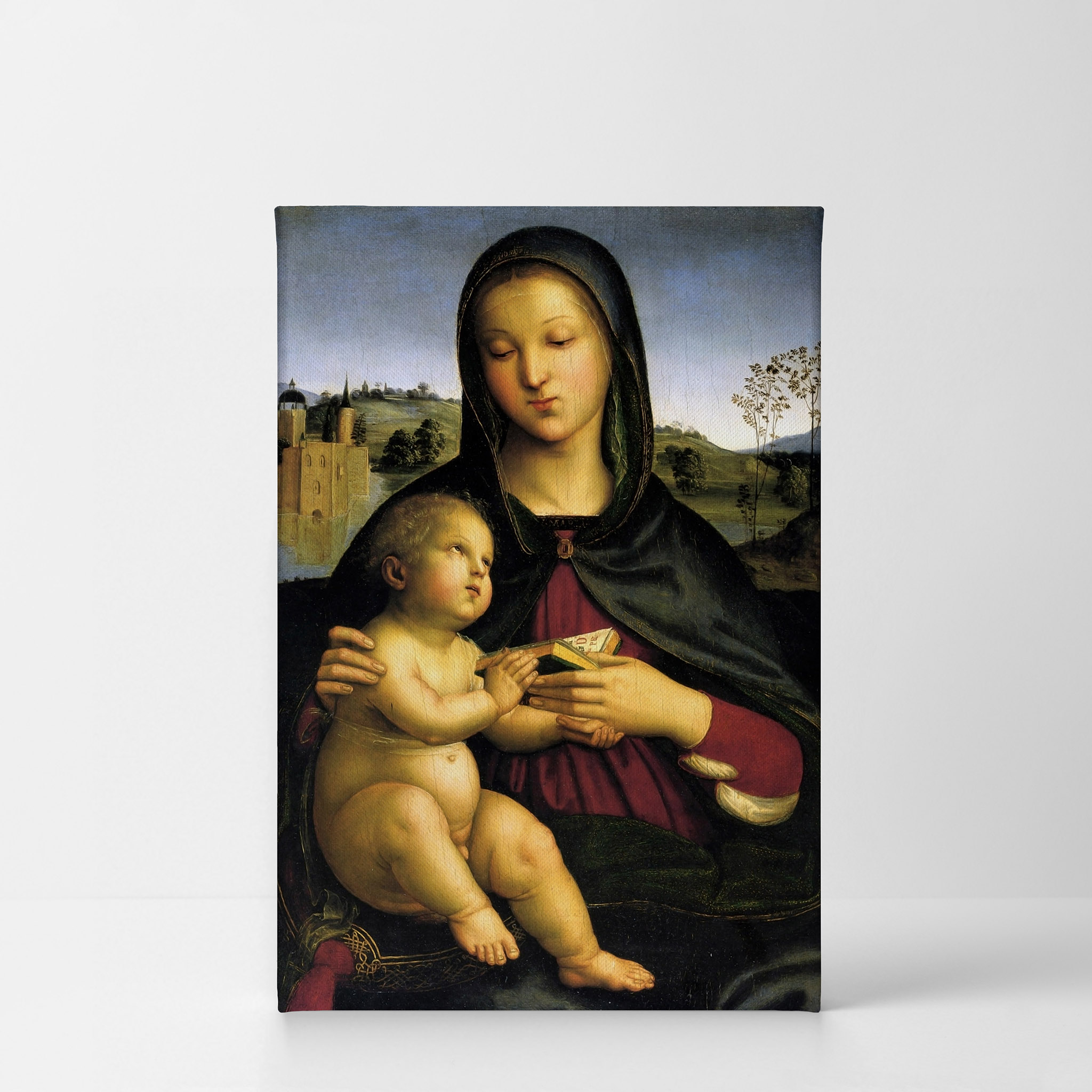 Renaissance Painting Raphael