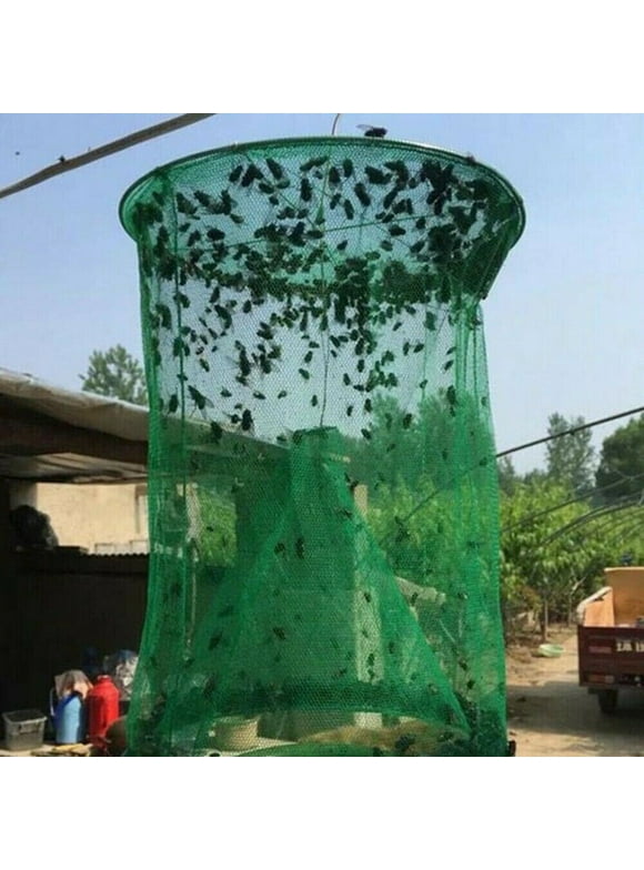 Fly Trap in Fly - Walmart.com