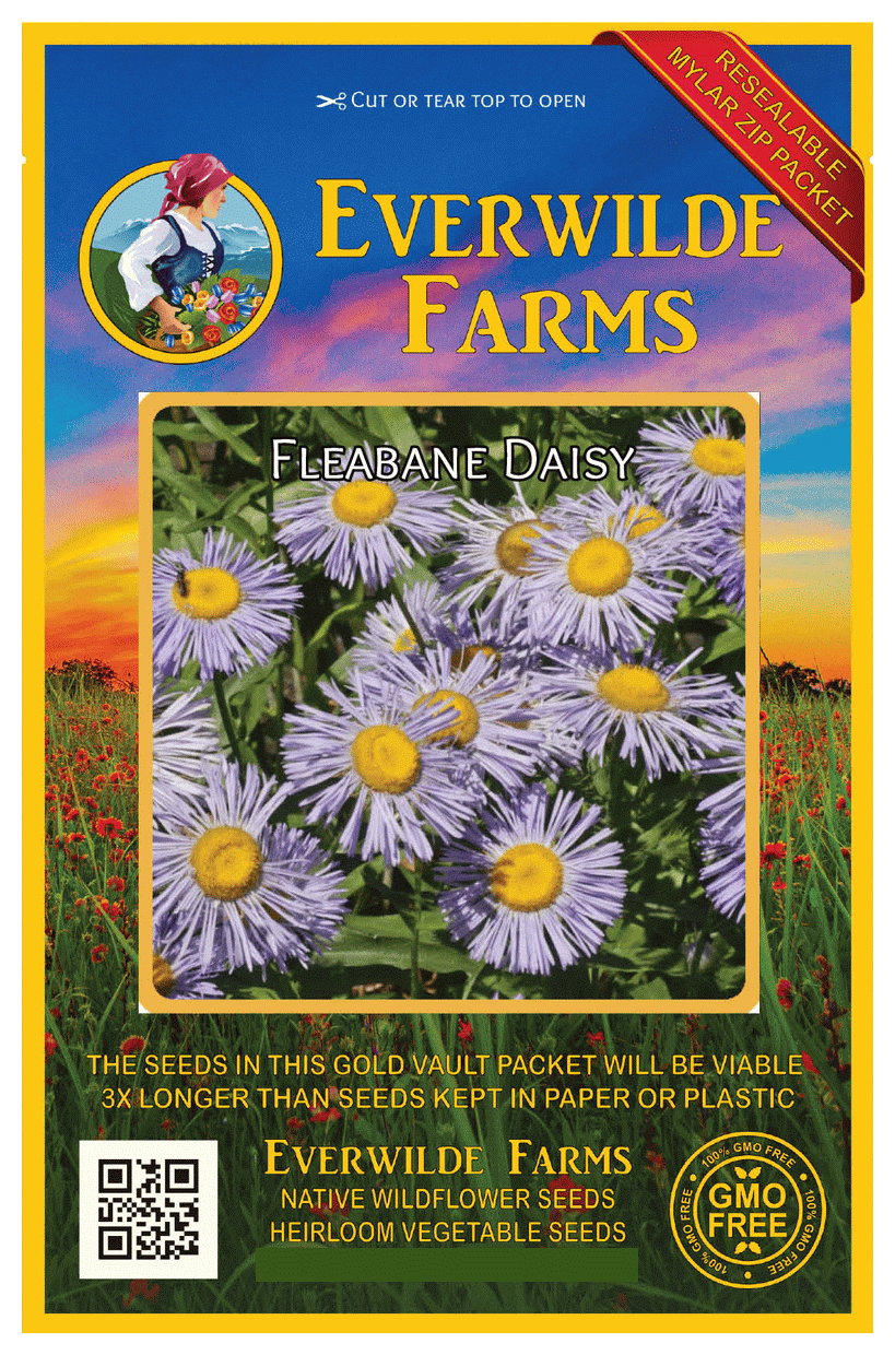 Everwilde Farms - 1 Oz Fleabane Daisy Native Wildflower Seeds - Gold ...